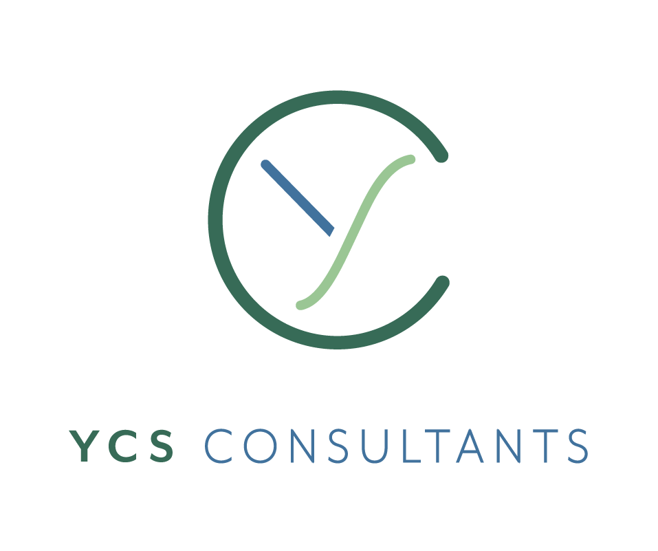 Professional NetSuite Connector Integration Services